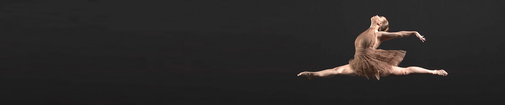 Tolbert Yilmaz School of Dance | Movement Collective